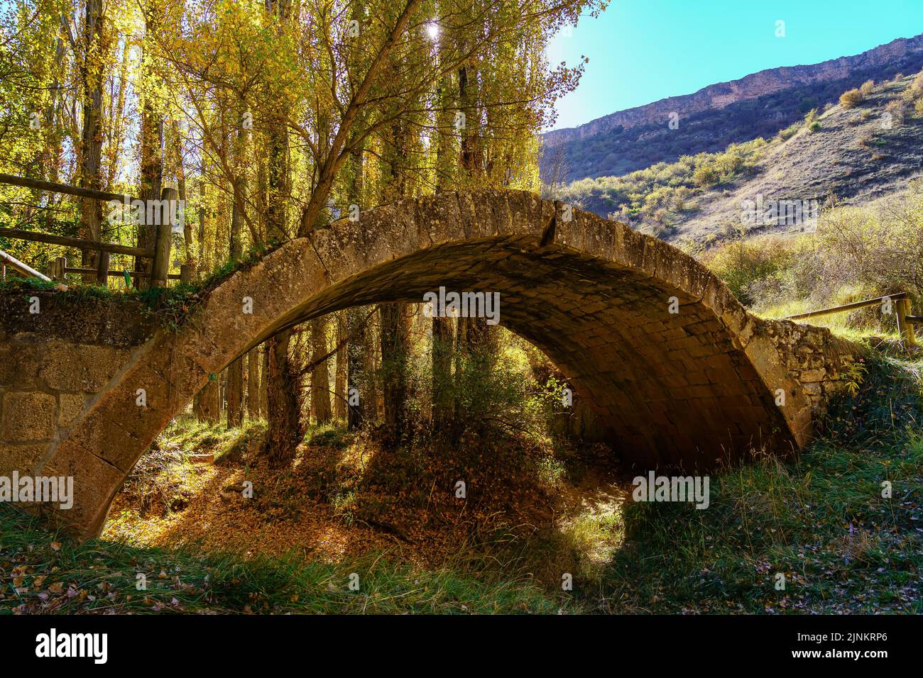Stone arch bridge over leaf covered path in autumn Stock Photo - Alamy