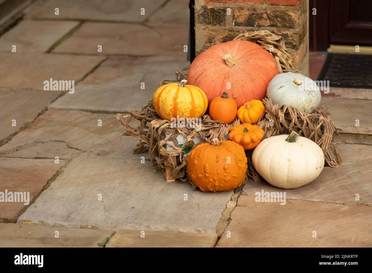 A collection of pumpkins Stock Photo - Alamy