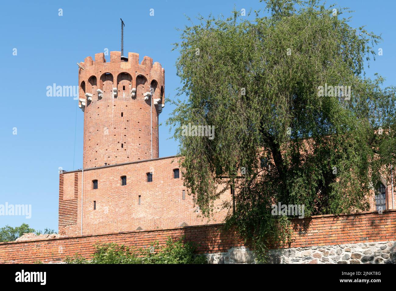 Ruins of the Teutonic Order castle in Swiecie, Poland © Wojciech ...