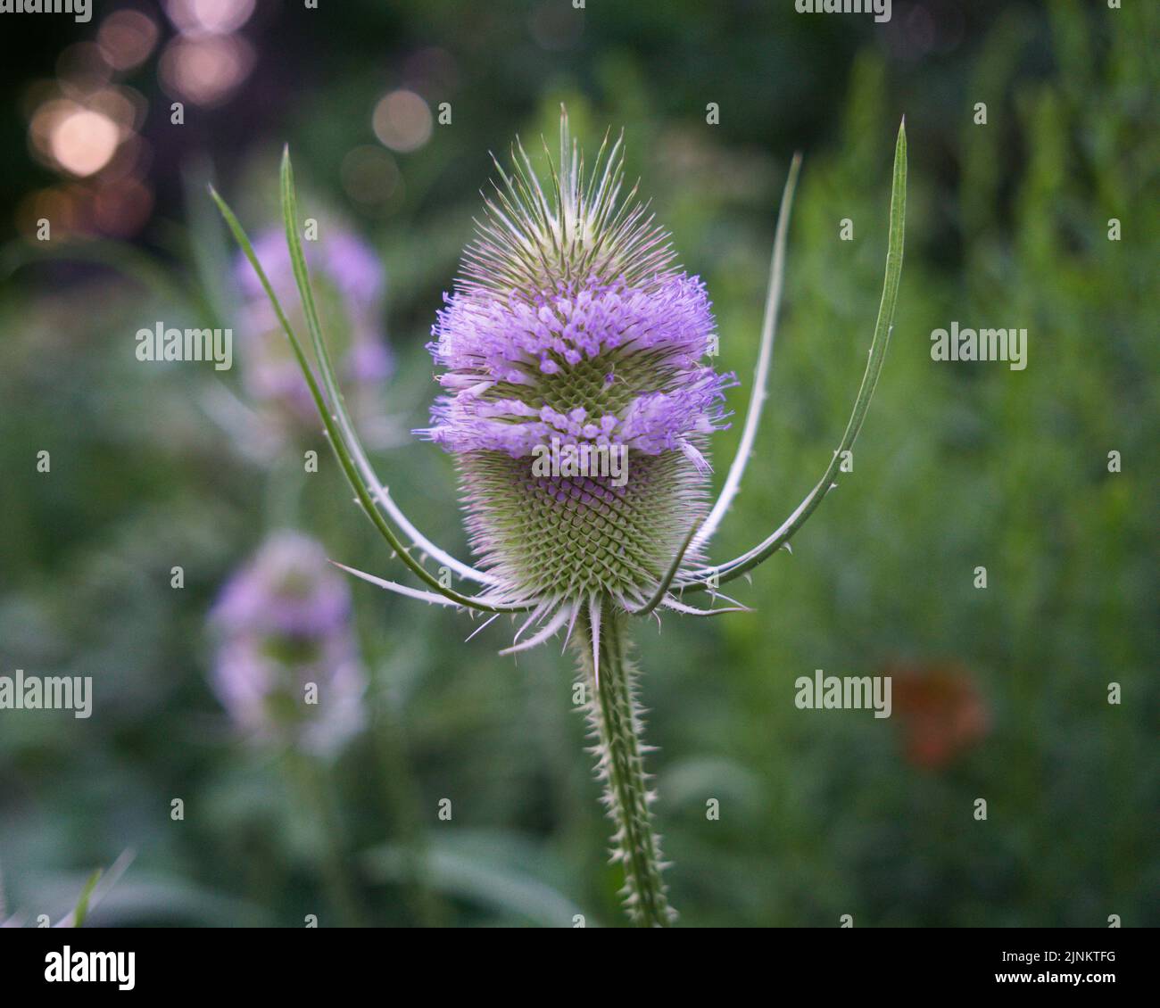 Landscape will never seen hi-res stock photography and images - Alamy
