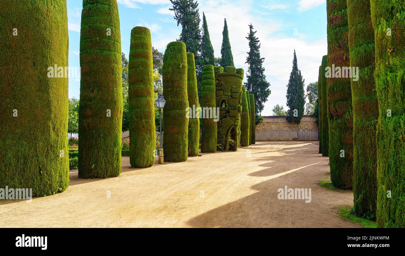 Dirt road next to tall cut cypress trees in the Alcazar garden, Cordoba ...