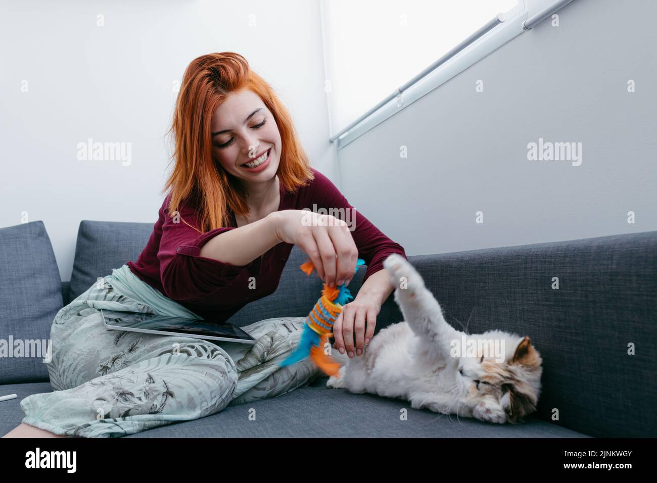 Woman playing with her cat hi-res stock photography and images - Alamy