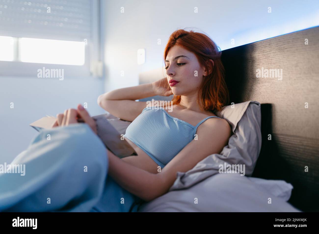 home, book, reading, relaxed, homes, books, read, reading a book ...