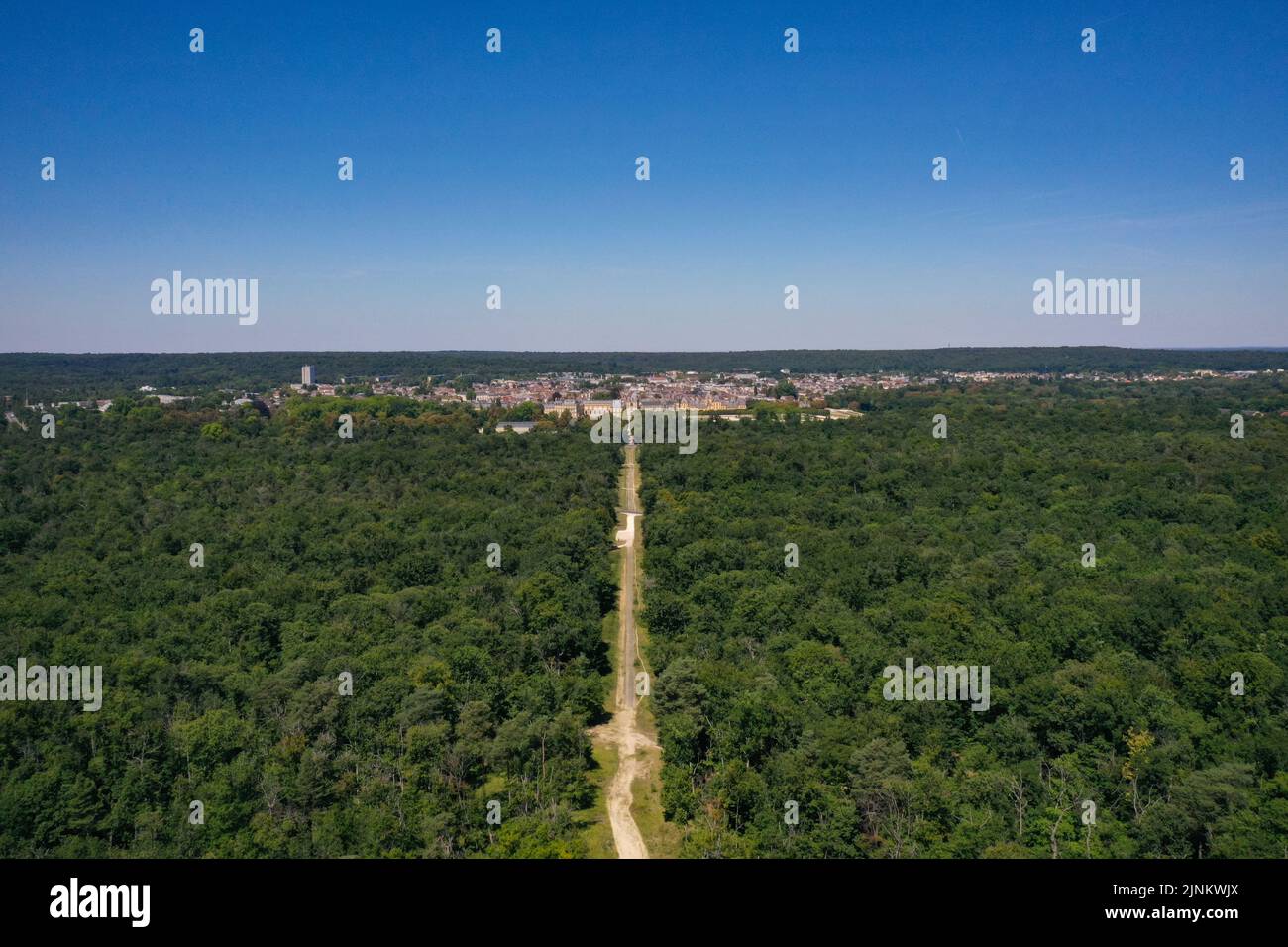 aerial view of the forest of Fontainebleau with her castle which owned ...