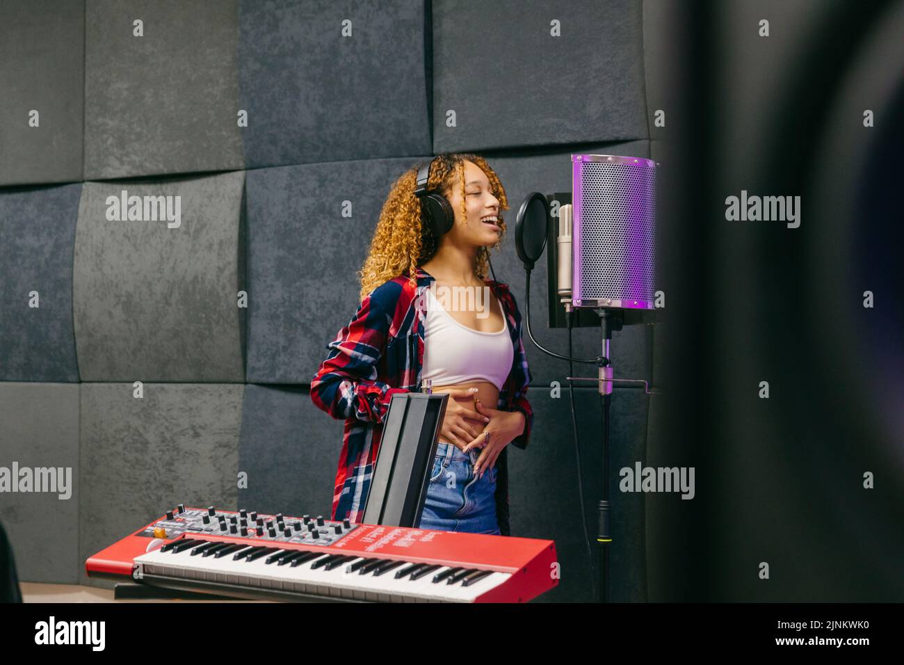 singer, microphone, singing, sound studio, singers, microphones, record ...