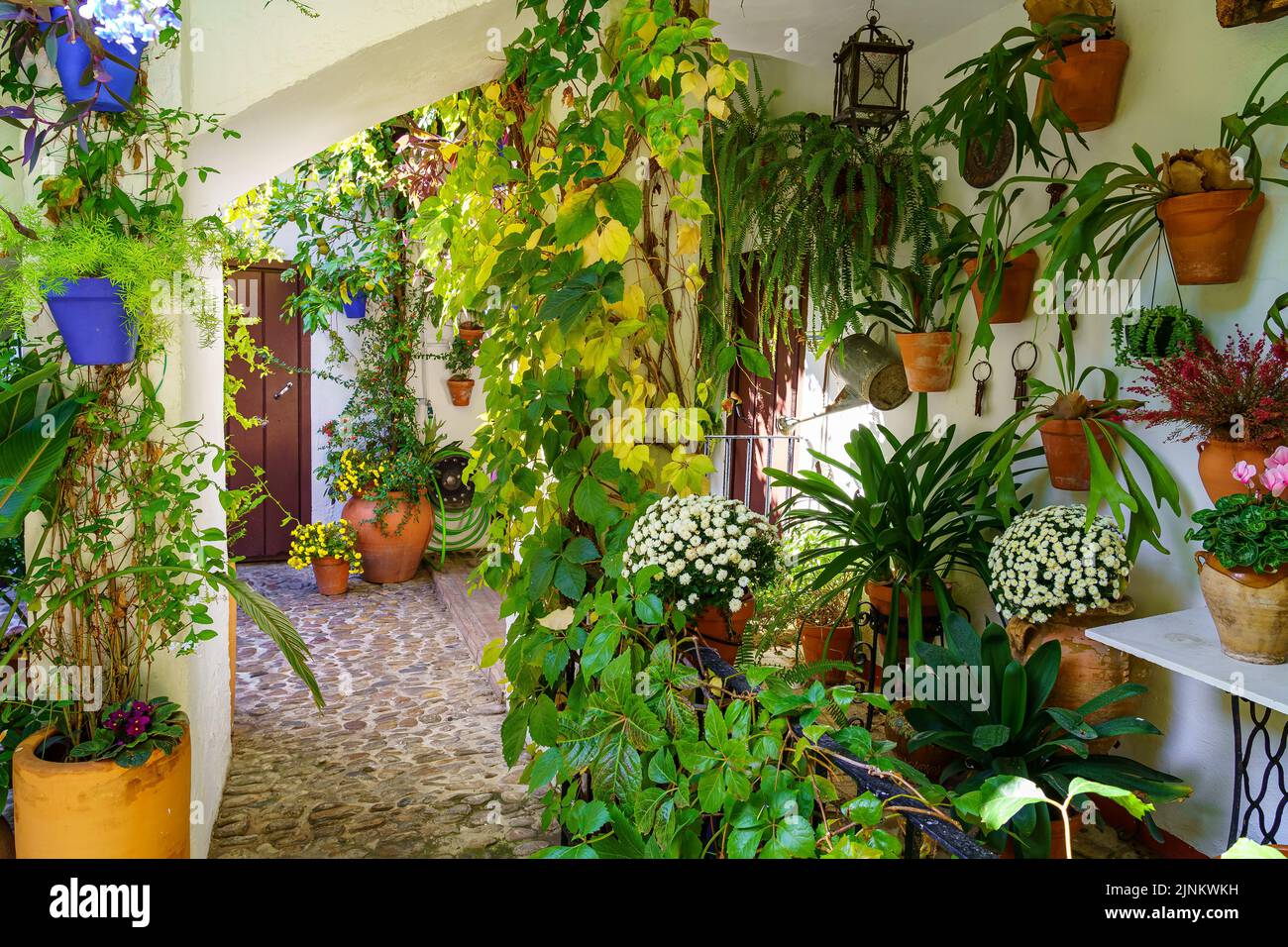 Typical Andalusian patio full of plants, flowers and shady areas ...