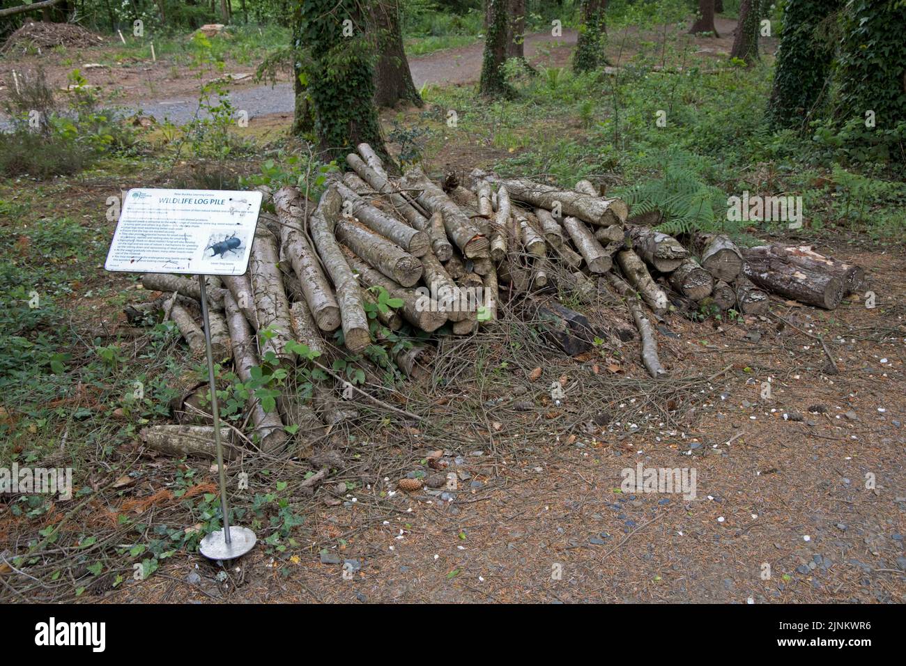 Log pile left as habitat for insects at RHS Garden Rosemoor North Devon ...