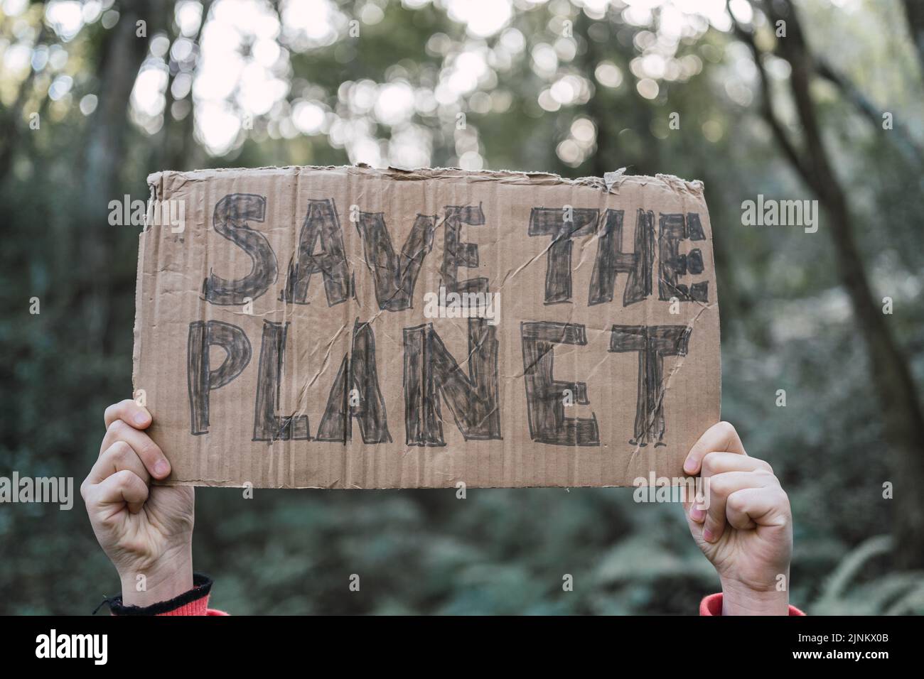 environmentalist, save the planet, fridays for future Stock Photo - Alamy