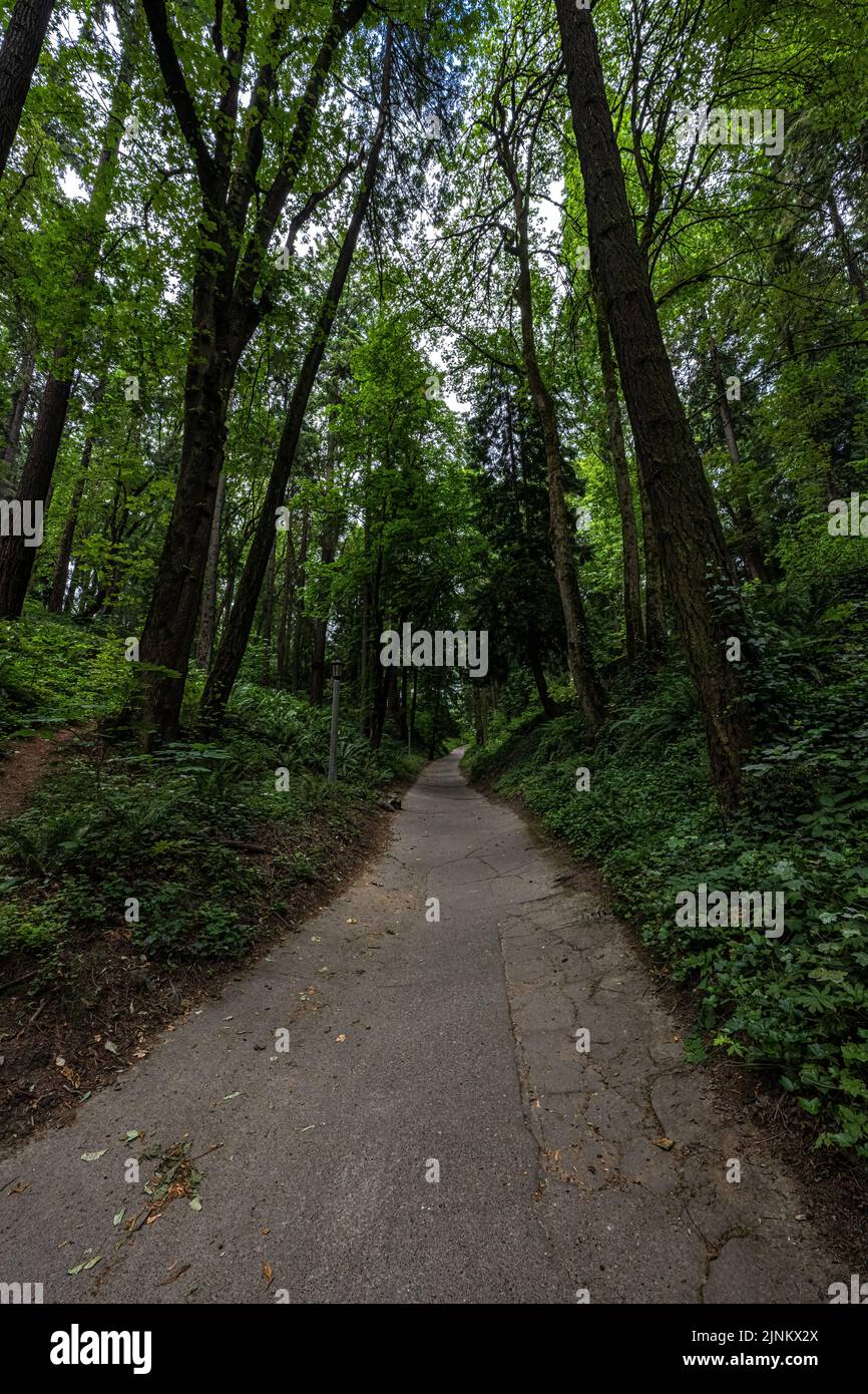 Portland tradition hi-res stock photography and images - Alamy