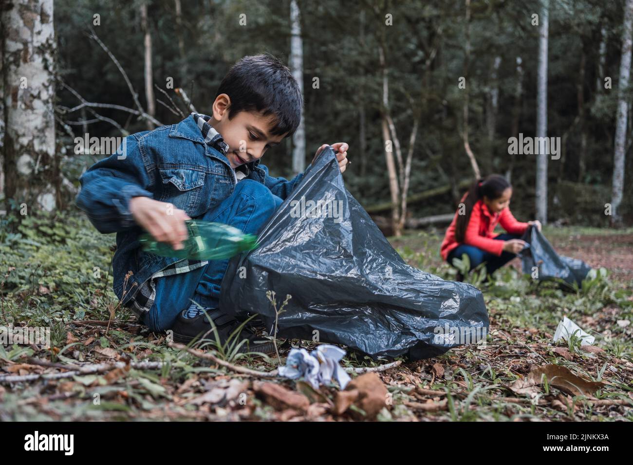 forest, children, waste, collection, forests, wood, woodland, woods ...