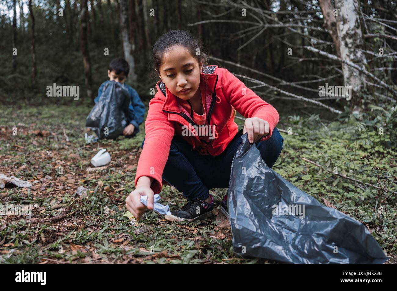 environment protection, garbage, collection, environment protections ...