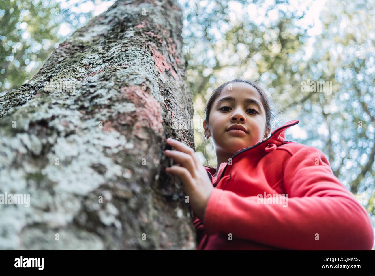 girl, tree, portrait, girls, trees, portraits Stock Photo - Alamy
