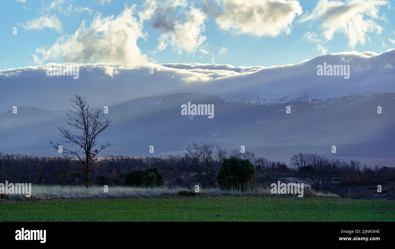 Magical winter frost in sun hi-res stock photography and images - Alamy