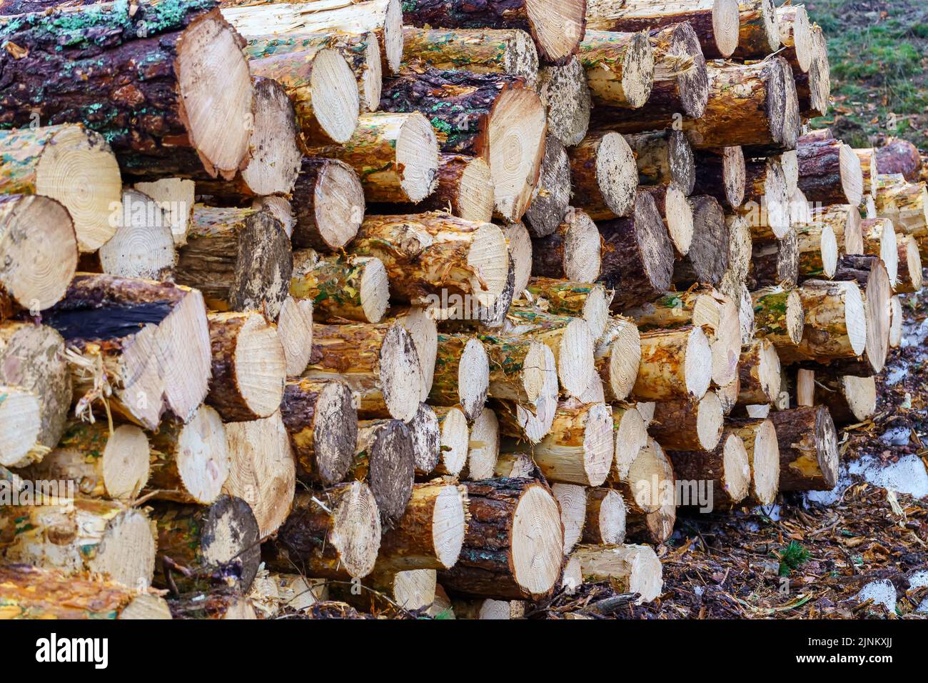 Stack of large cut logs on the mountain, deforestation the forest Stock ...