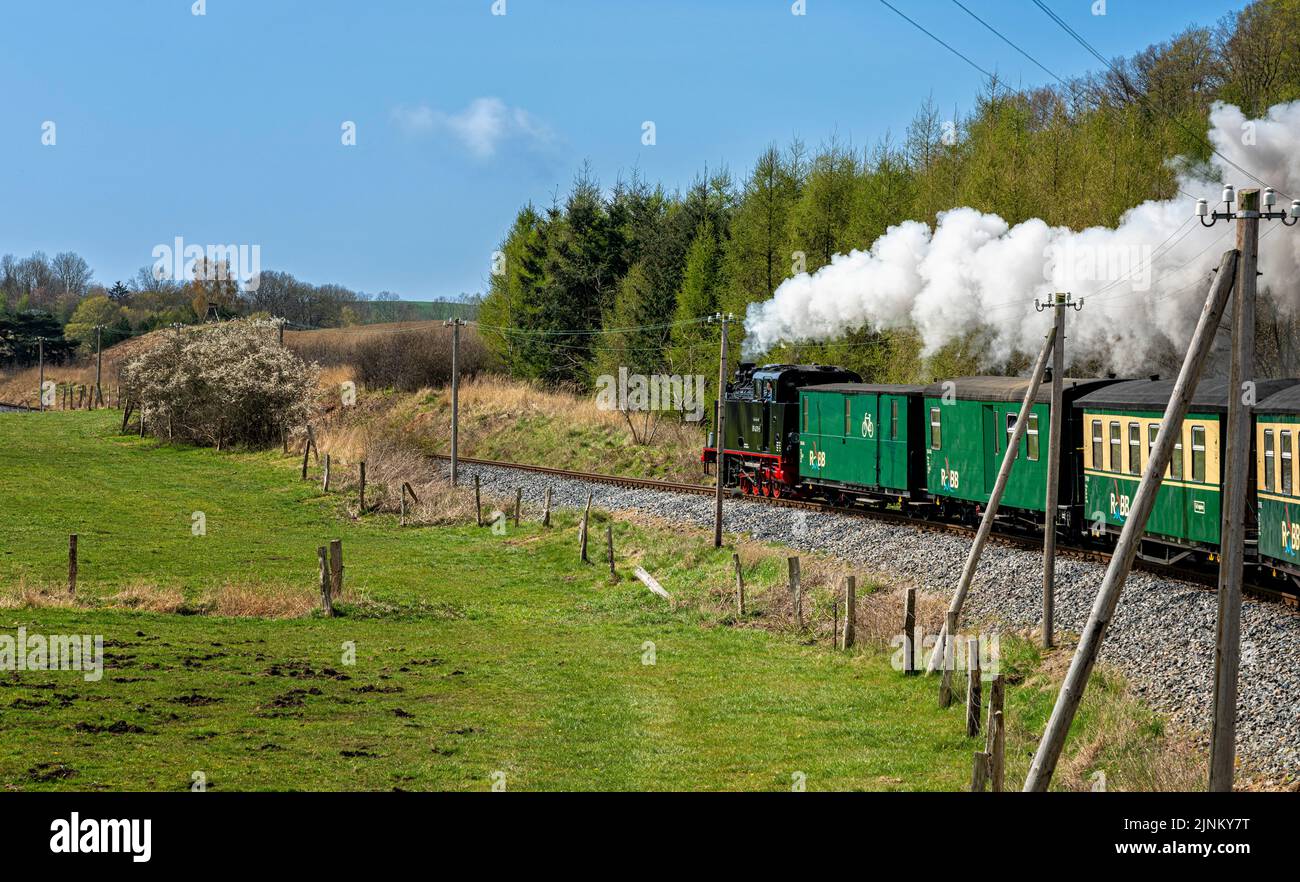steam locomotive, rasender roland, rügensche bäderbahn, steam ...