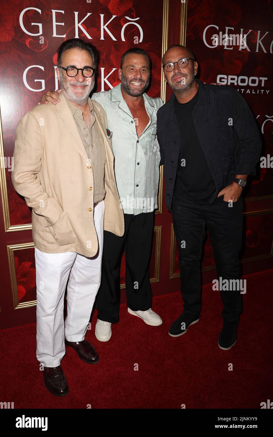 MIAMI, FL - AUGUST 11: Andy Garcia, David Grutman and Alex Pirez attend ...