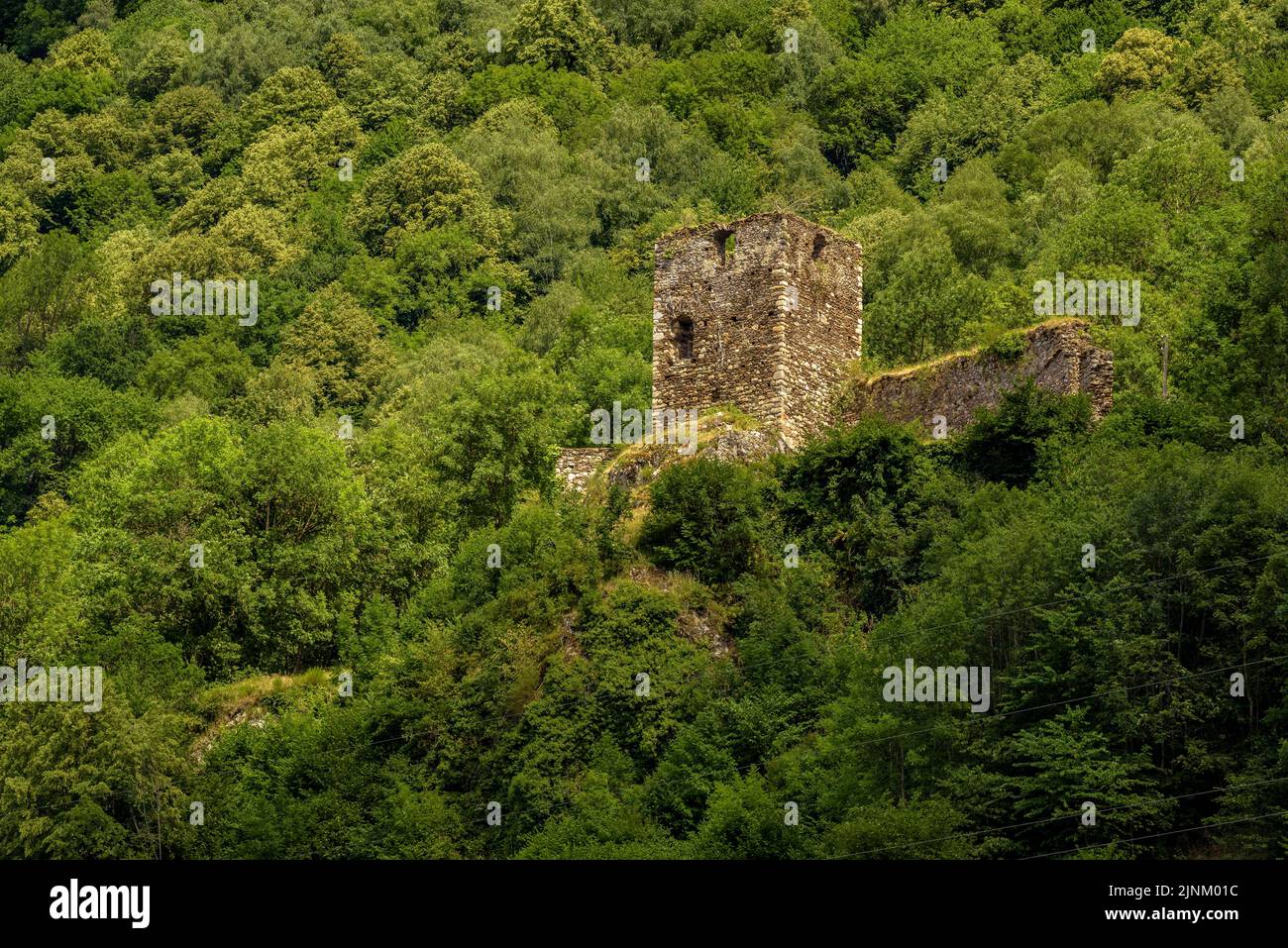 Castle of Les also called Castle of Pijoèrt, surrounded by green forest ...