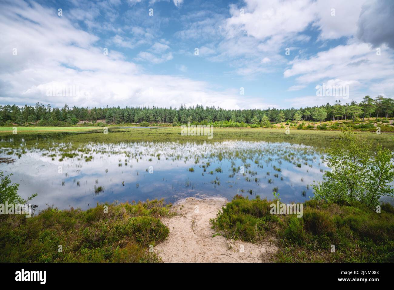 shore, bog, wetland, les mosses, shores, bogs, wetlands Stock Photo - Alamy