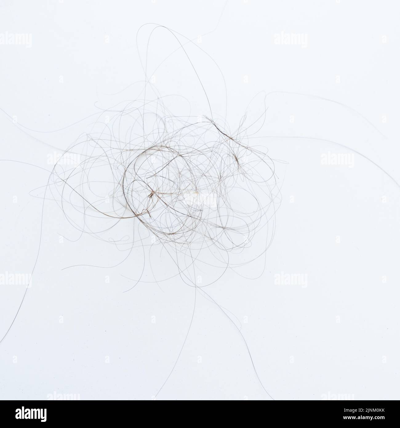 Fallen hair on the white background. Baldness problem Stock Photo - Alamy
