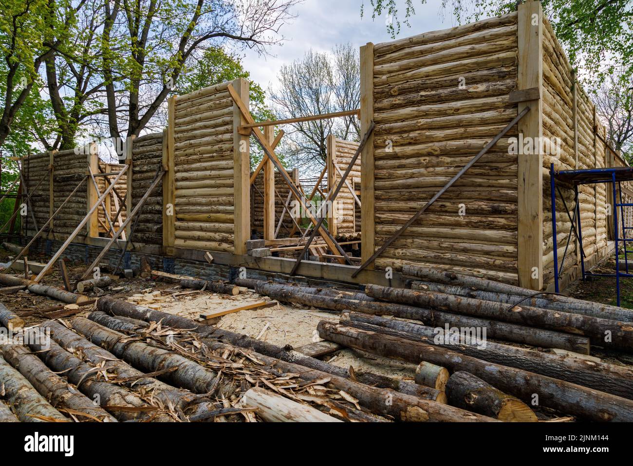 traditional wooden house peeled log wall during cobntruction process ...
