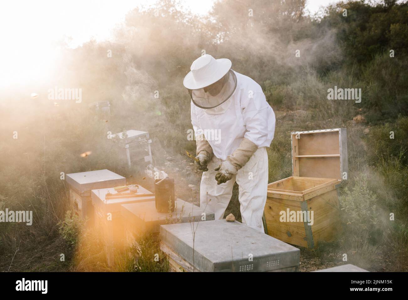 Lady beekeeper hi-res stock photography and images - Alamy