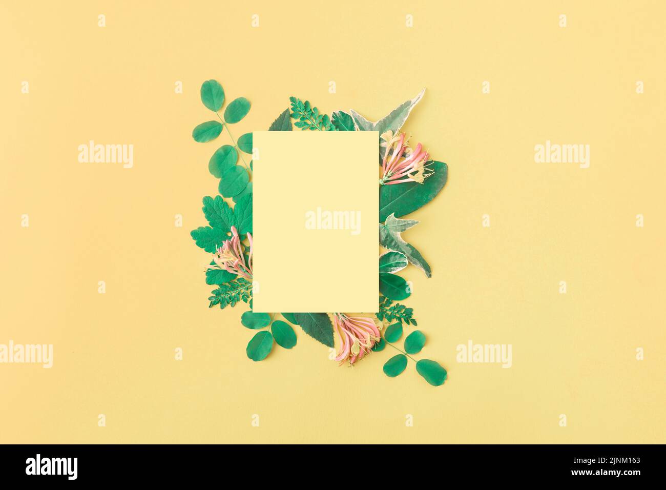 Green Leaves With Paper Frame Border, Natural Lush Foliage Plant of ...