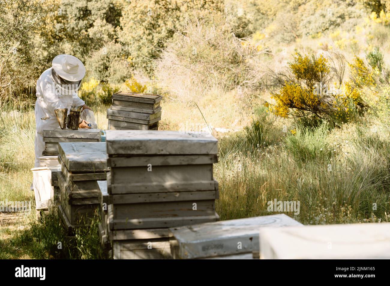 Beekeepers working bees beehives hi-res stock photography and images ...