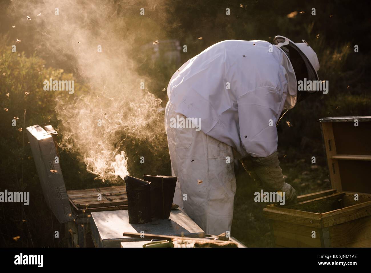Beekeepers working bees beehives hi-res stock photography and images ...