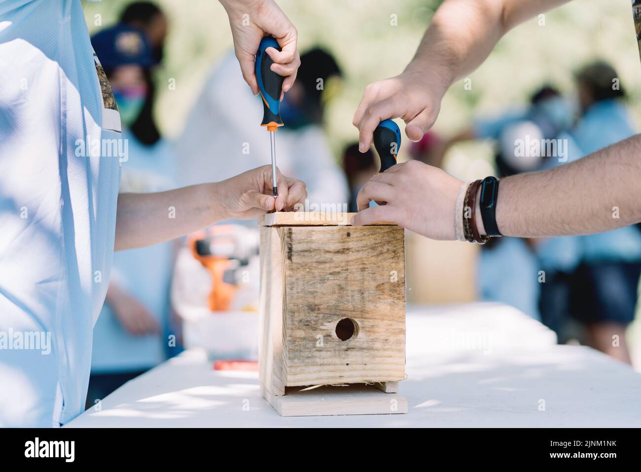 teamwork, building activity, nesting box, teamworks, building ...