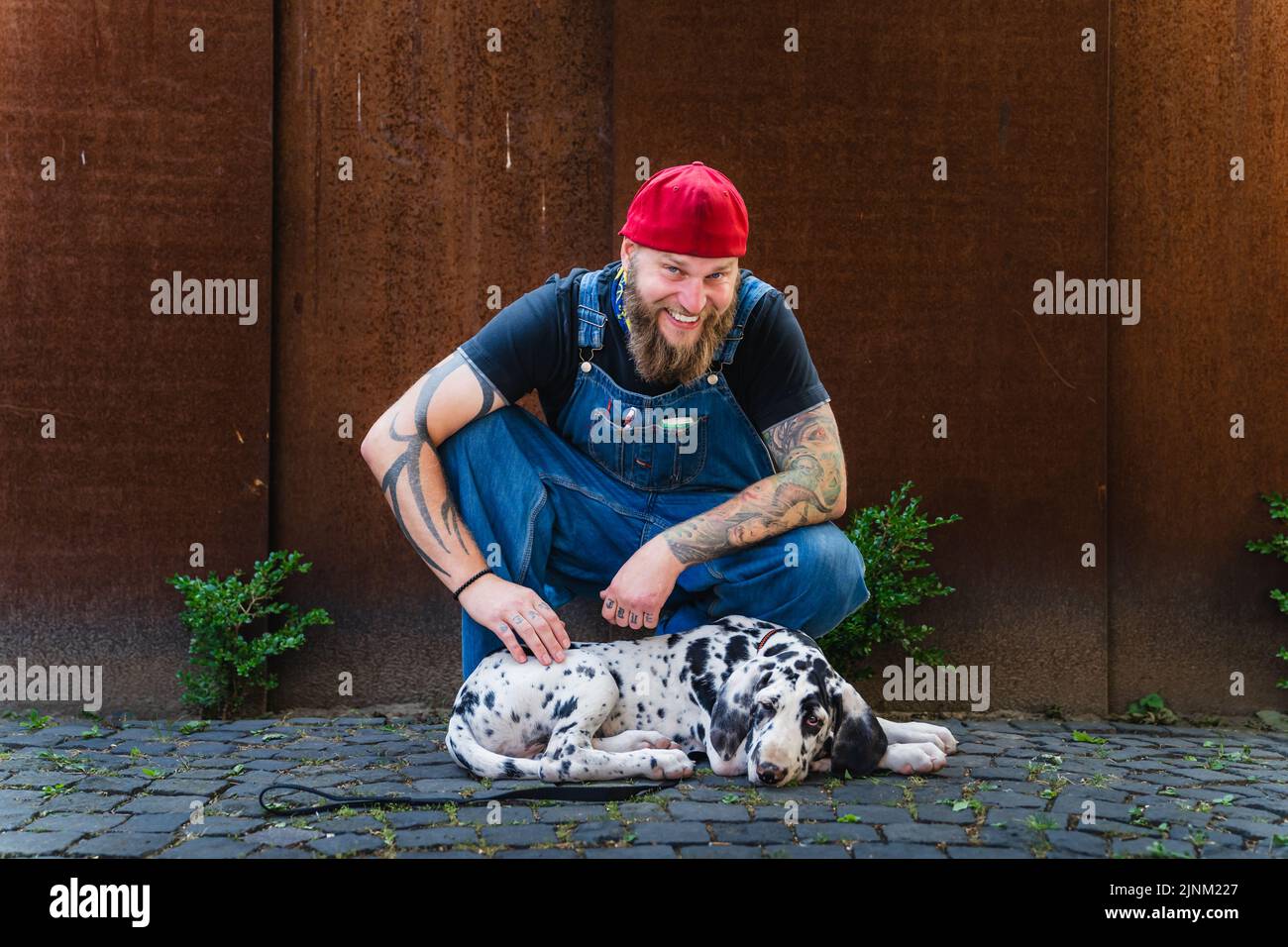 friendship, great dane, hipster, friendships, dane, danes, danish hound ...