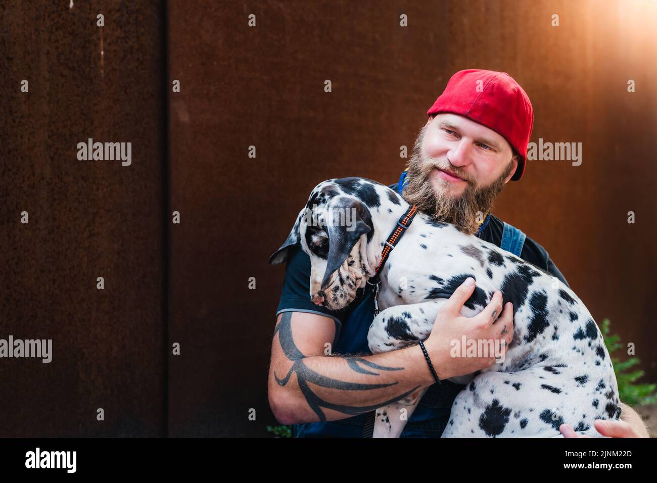 friendship, dog, hug, great dane, friendships, dogs, hugging, hugs ...