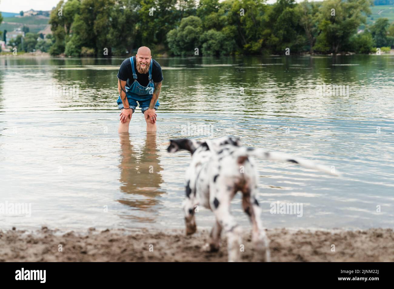 man, lake, dog, guy, men, lakes, dogs Stock Photo - Alamy