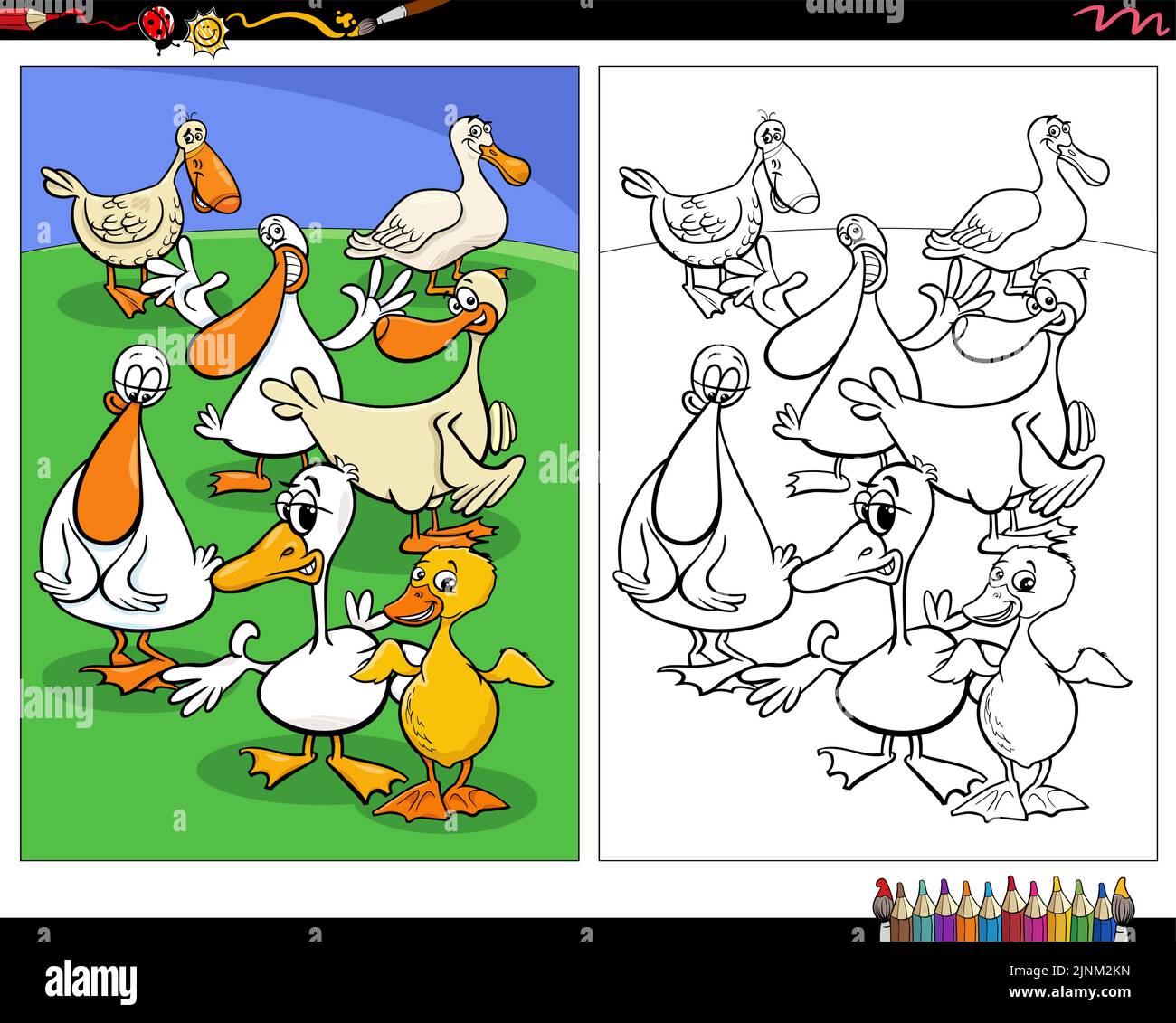 Cartoon illustration of funny ducks birds farm animal characters ...