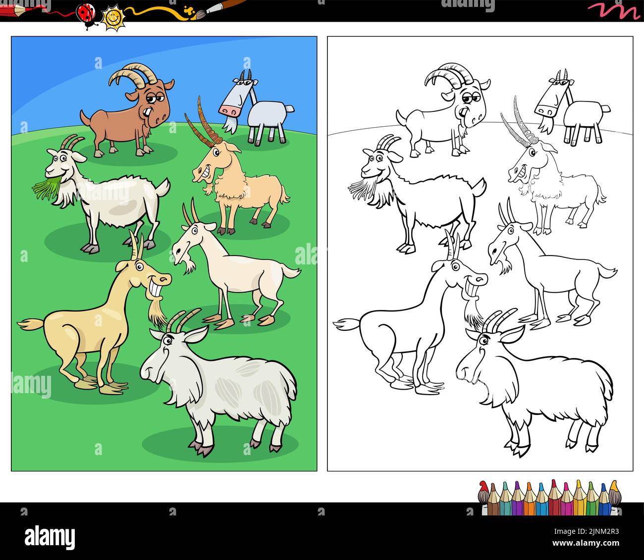Cartoon illustration of goats farm animal characters in the meadow ...