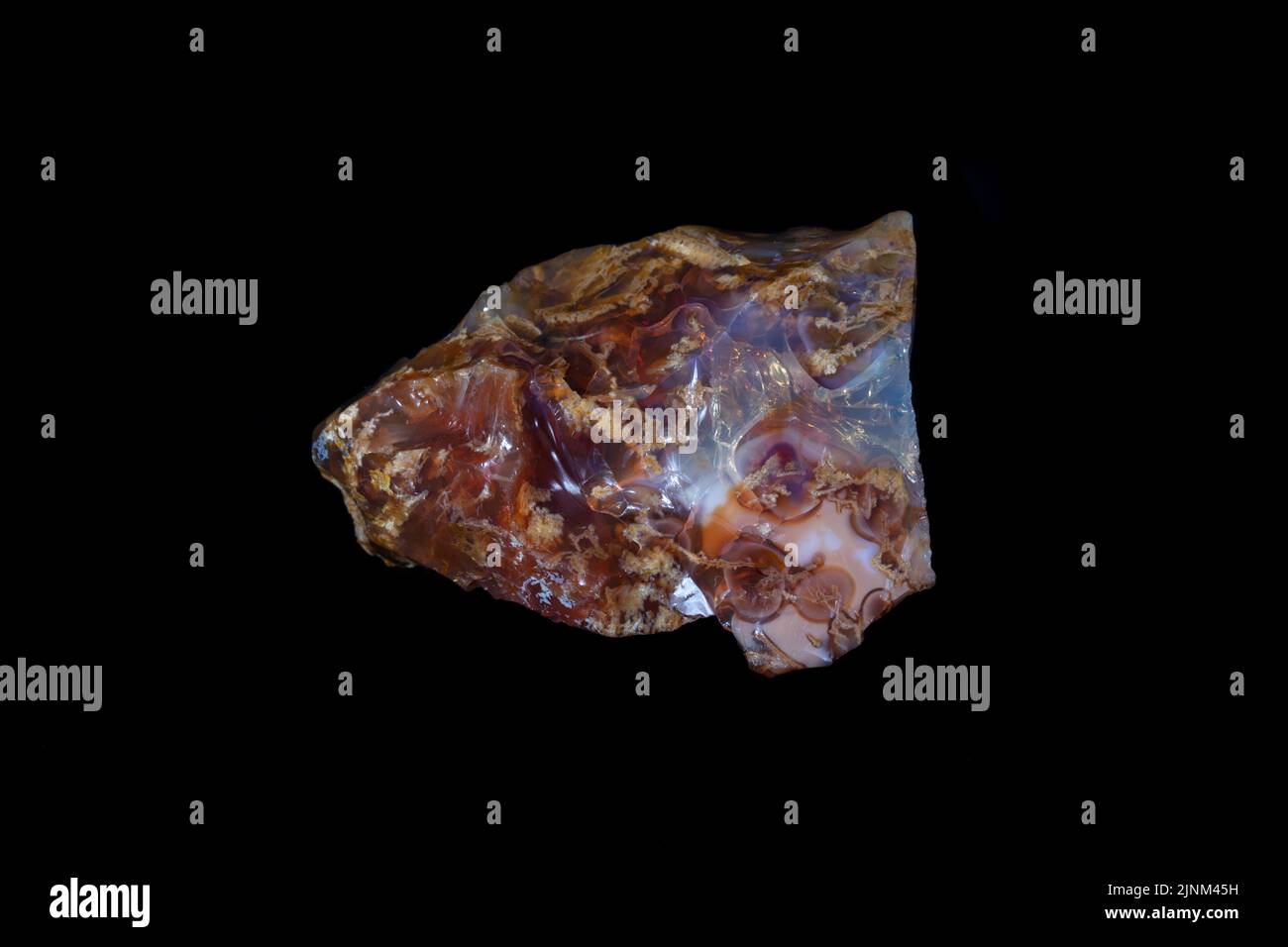 Rough specimen, Oregon common opal; brown, red, white and translucent ...