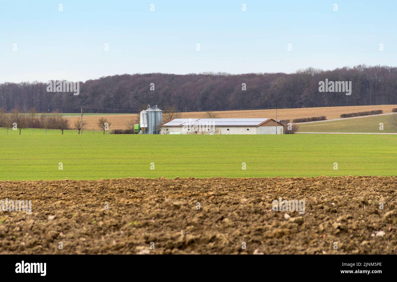 agriculture, farm, fields, agricultures, farms, homestead, field Stock ...