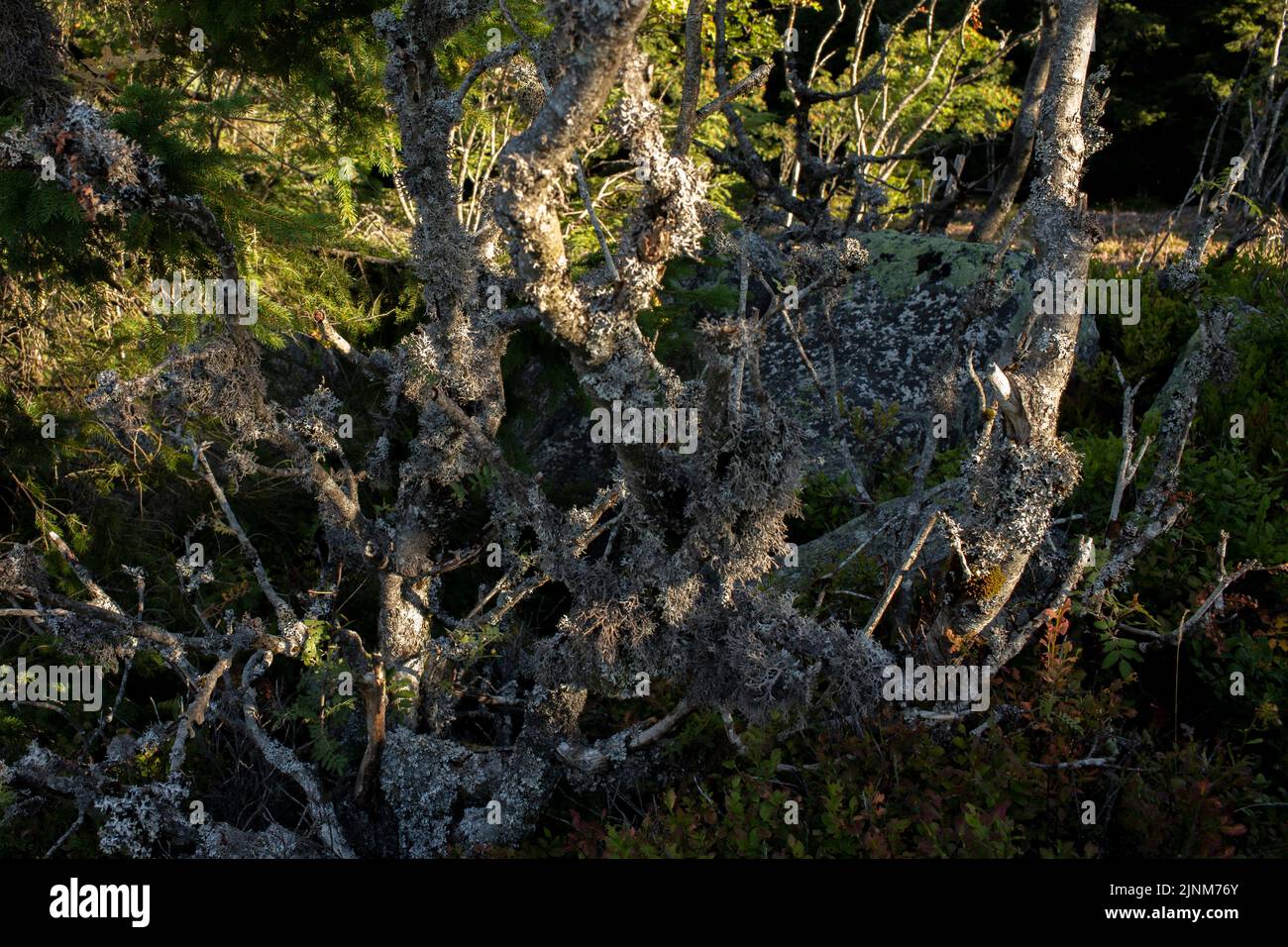 Paysage de feu hi-res stock photography and images - Alamy