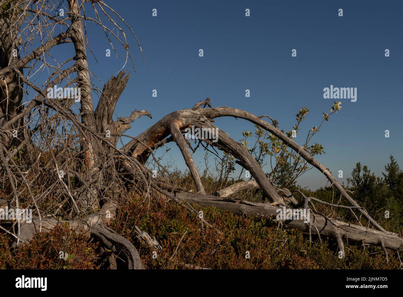 Paysage de feu hi-res stock photography and images - Alamy