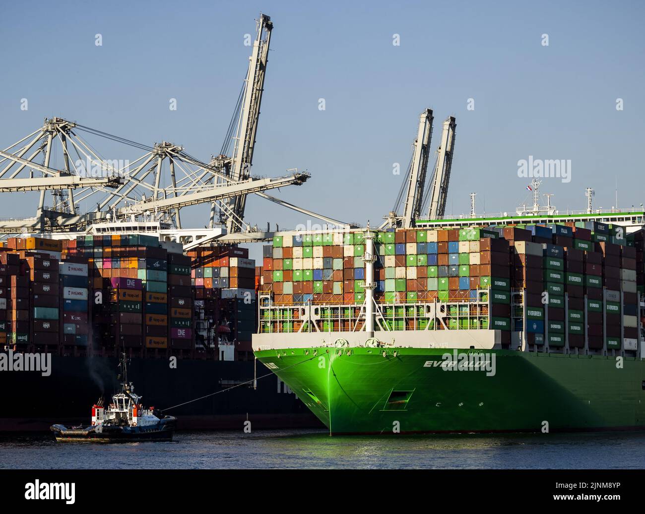 Rotterdam, Netherlands. 12th Aug, 2022. 2022-08-12 18:57:09 ROTTERDAM ...