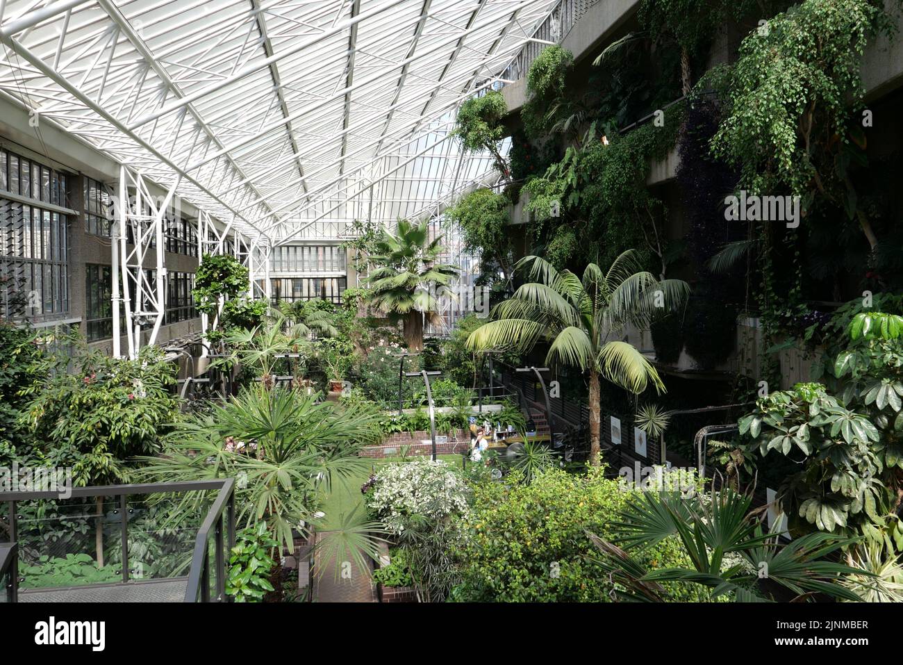 Visit the second biggest conservatory in London and explore a hidden ...