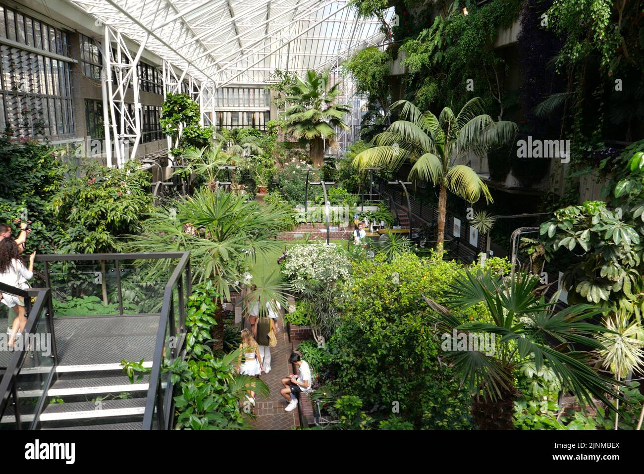 Visit the second biggest conservatory in London and explore a hidden ...