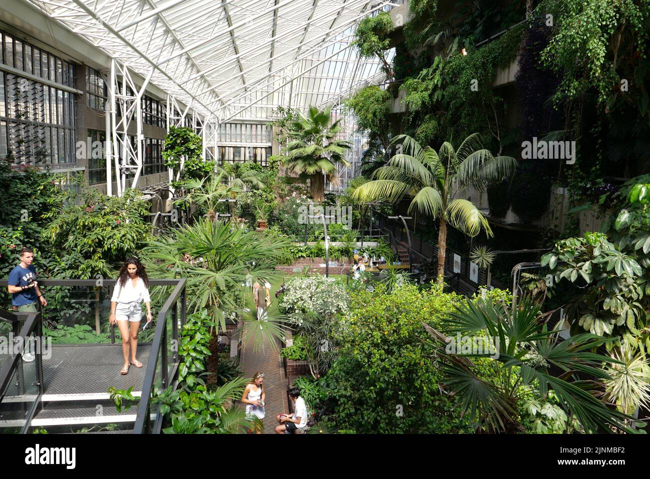 Visit the second biggest conservatory in London and explore a hidden ...