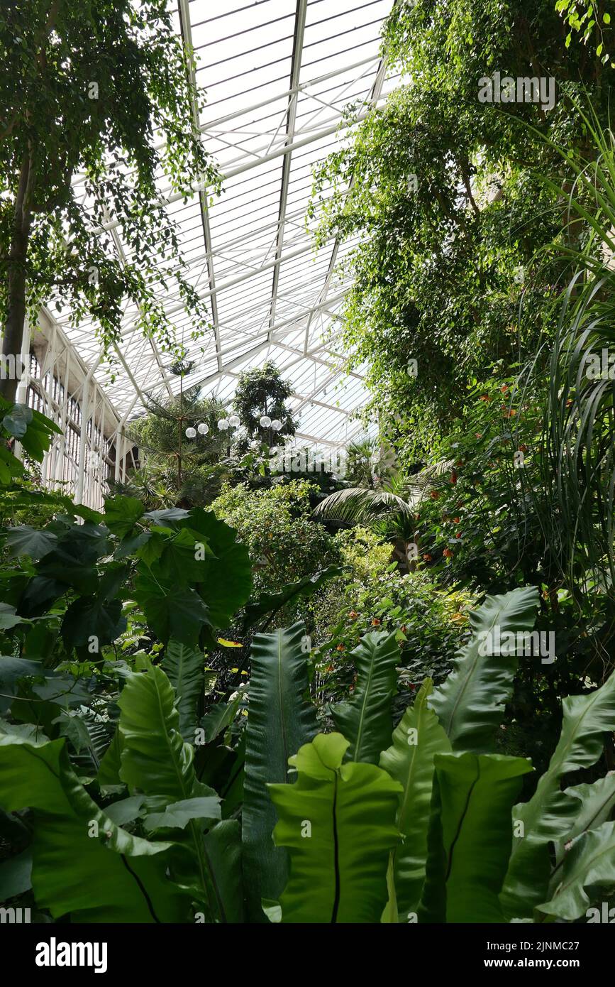 Second biggest conservatory hi-res stock photography and images - Alamy
