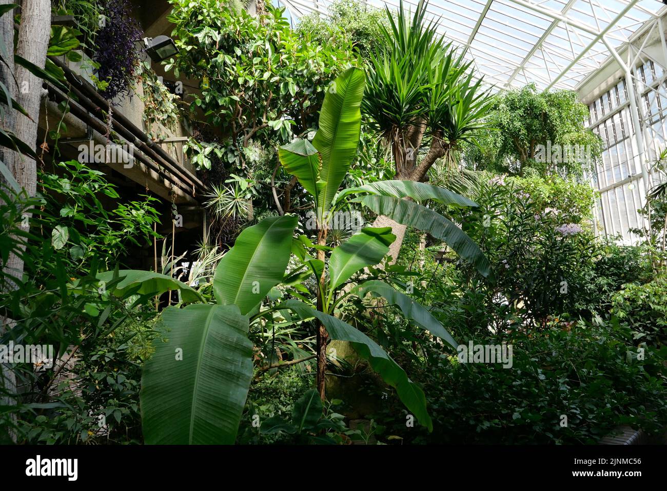 Second biggest conservatory hi-res stock photography and images - Alamy
