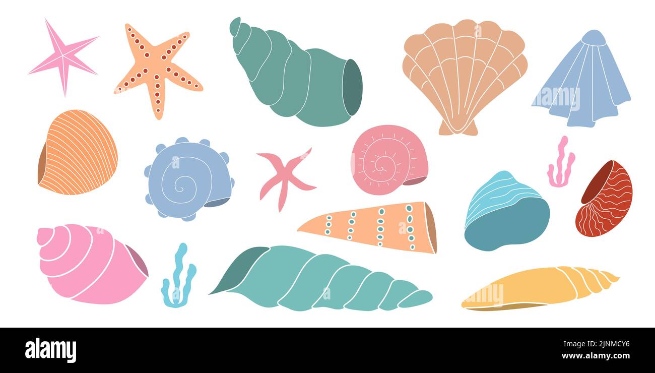 Set of bright varied seashells on an isolated background. Flat vector ...