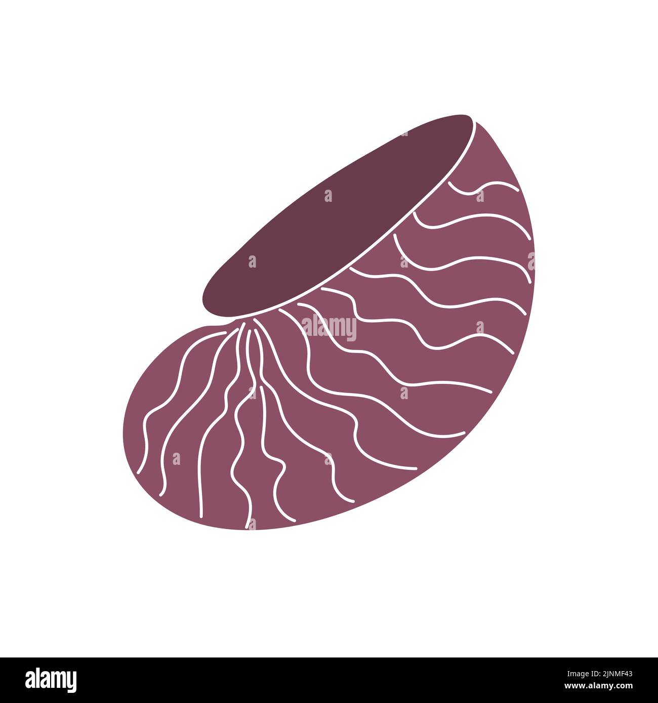 Curly shell Stock Vector Images - Alamy