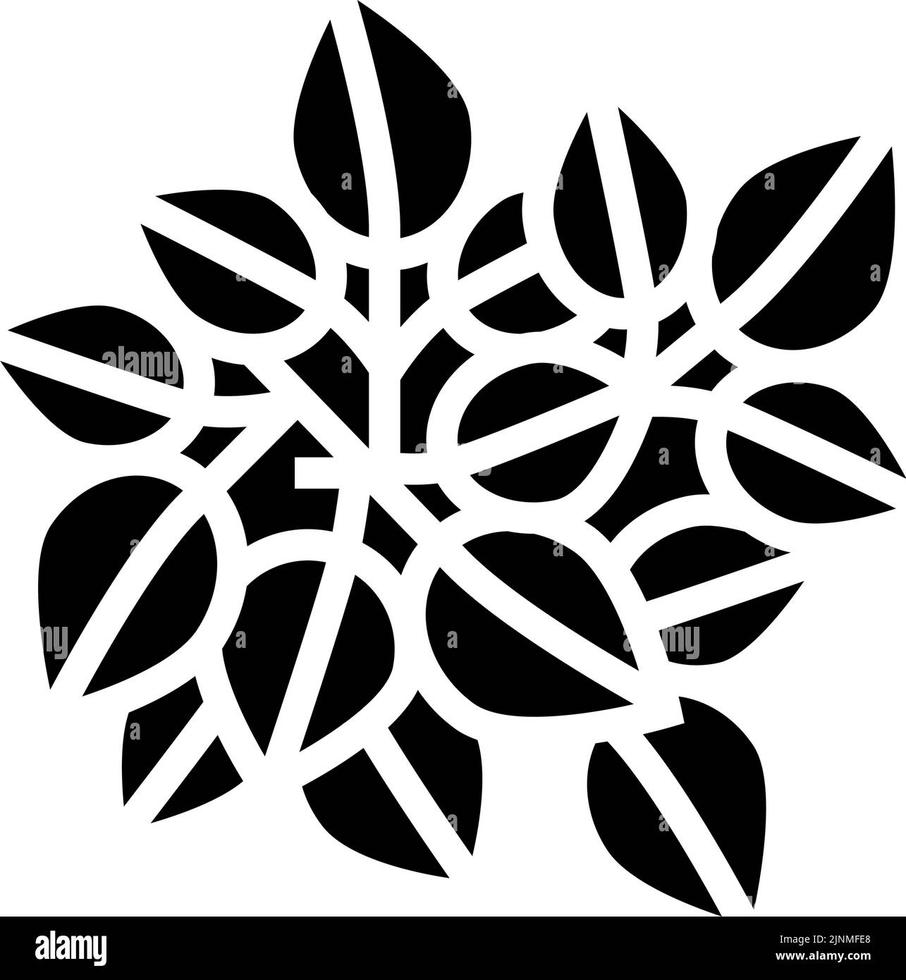 poison ivy glyph icon vector illustration Stock Vector Image & Art - Alamy