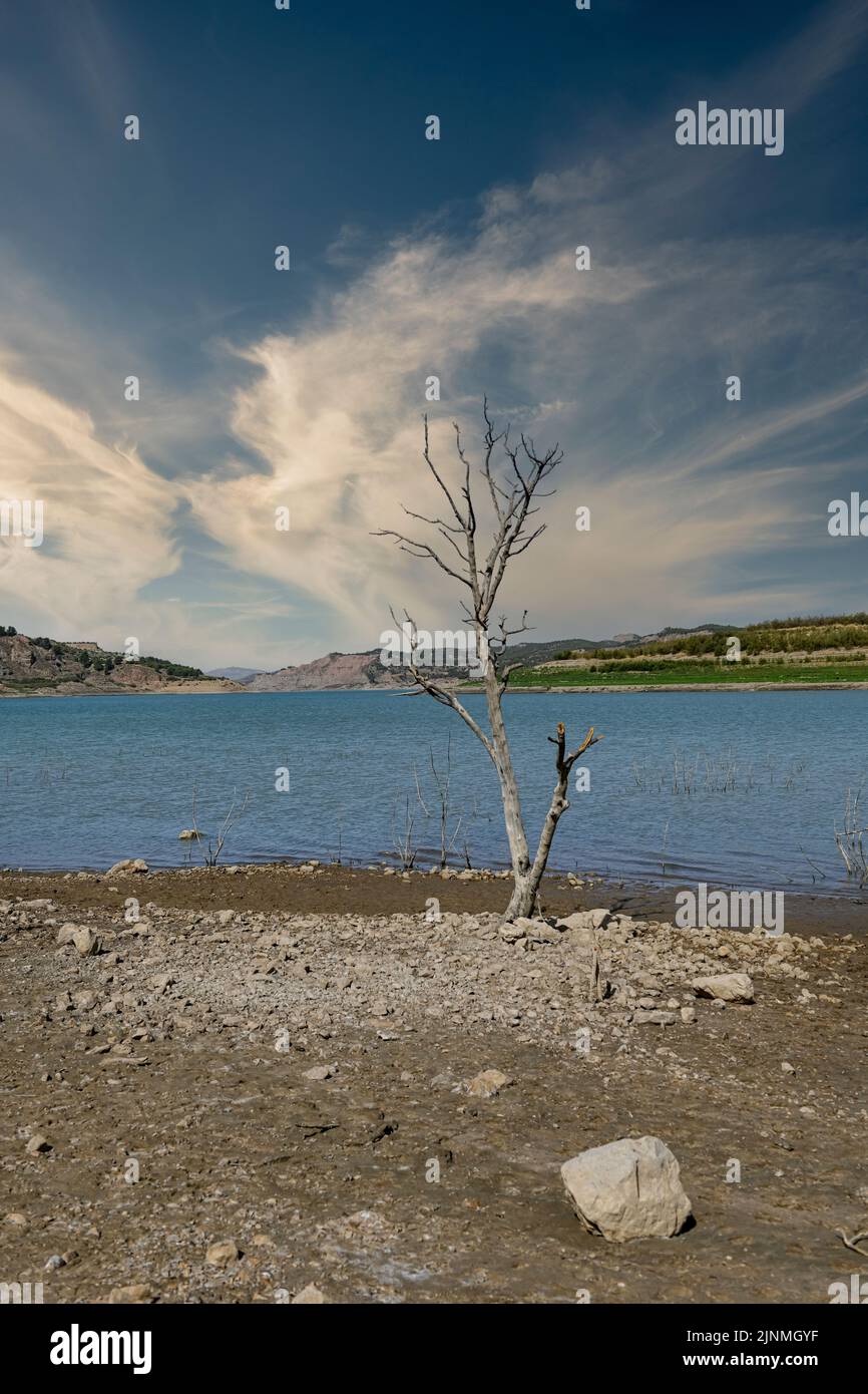 Very low level of a swamp in southern Europe. Global warming and ...