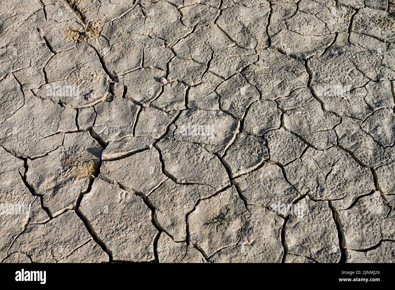 Textura suelo tierra hi-res stock photography and images - Alamy