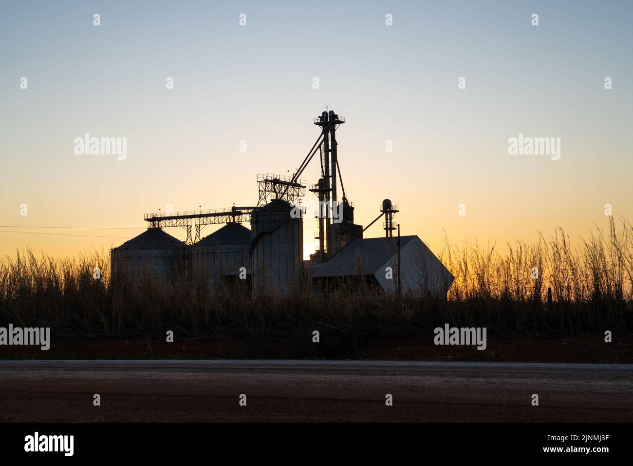 Beautiful silhouette view of silos in soybean farm and corn plantation ...